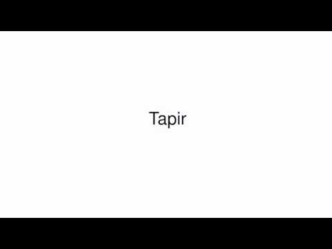 How to pronounce Tapir