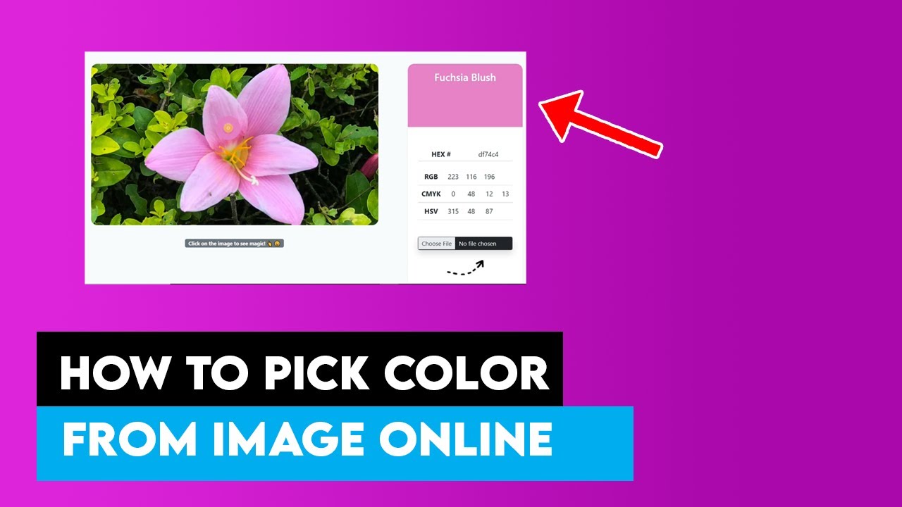 Image Color Picker: How to Pick Color From Image (Online)