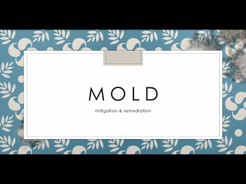 Mold: Mitigation & Remediation