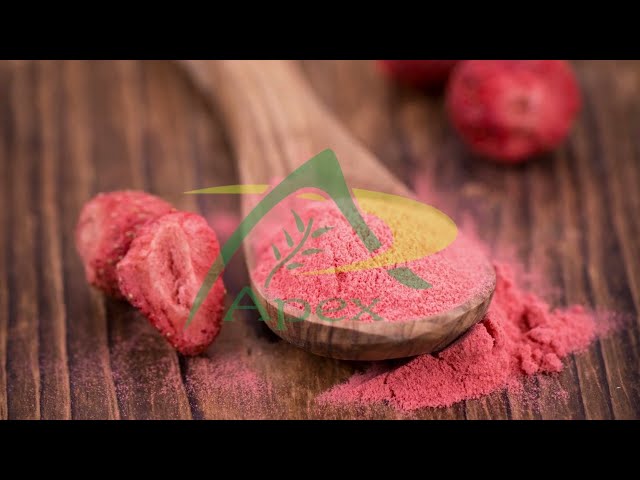 Spray Dried Fruit Powder - Apricot Juice Powder Trader - Wholesaler ...