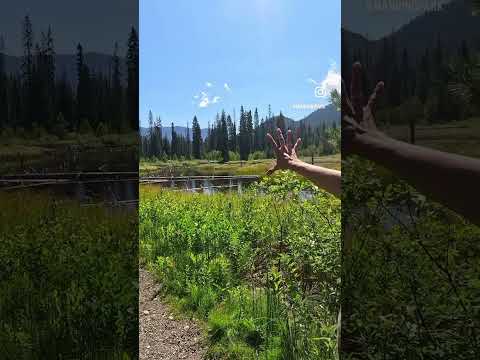 Easy and Short Hikes in Manning Park: Beaver Pond, Manning
