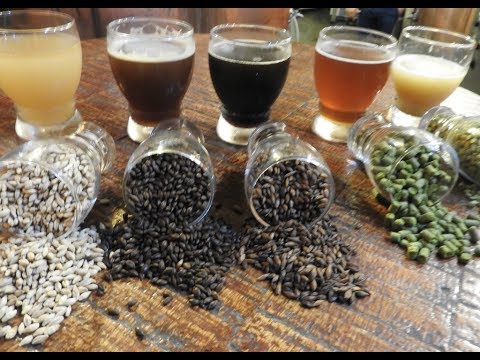 Understanding Styles of Beer with brewer Abhishek Agarawal