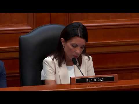 Oversight Subcommittee on Child Welfare System - 6/24/2025