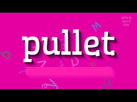 How to say "pullet"! (High Quality Voices)