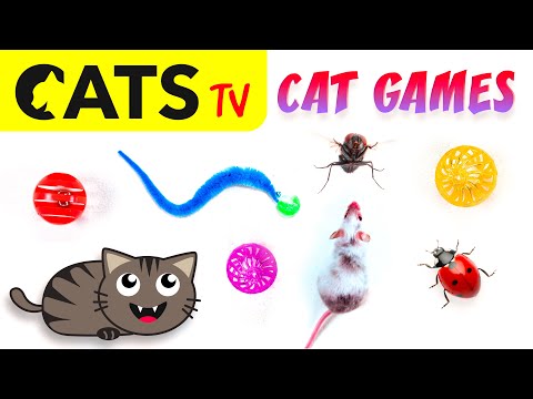 CAT TV ???????? 2025 Ultimate Compilation ???????????? Best games for cats in 4K