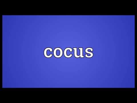Cocus Meaning