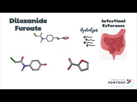 Diloxanide Furoate Tablets - Amicline Latest Price, Manufacturers ...