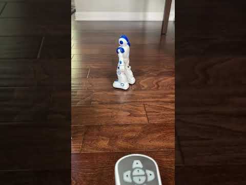 KingsDragon RC Robot Toys for Kids, Gesture & Sensing Remote Control Robot for Age 3 4 5 6 7 8 Year