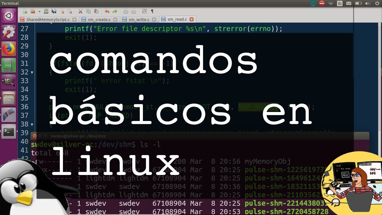 Comandos básicos en linux, el terminal y el command prompt.