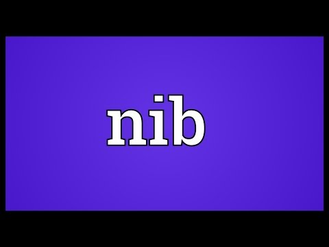 Nib Meaning