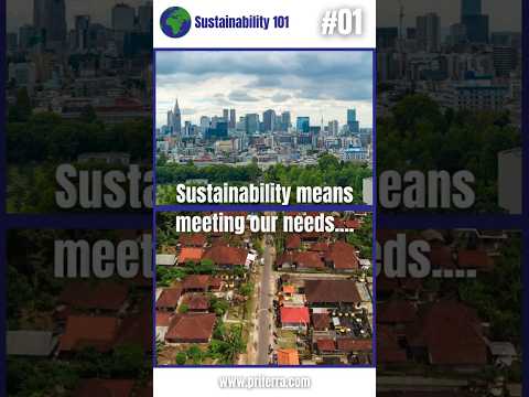 What Is Sustainability, Really? | Simple Explainer