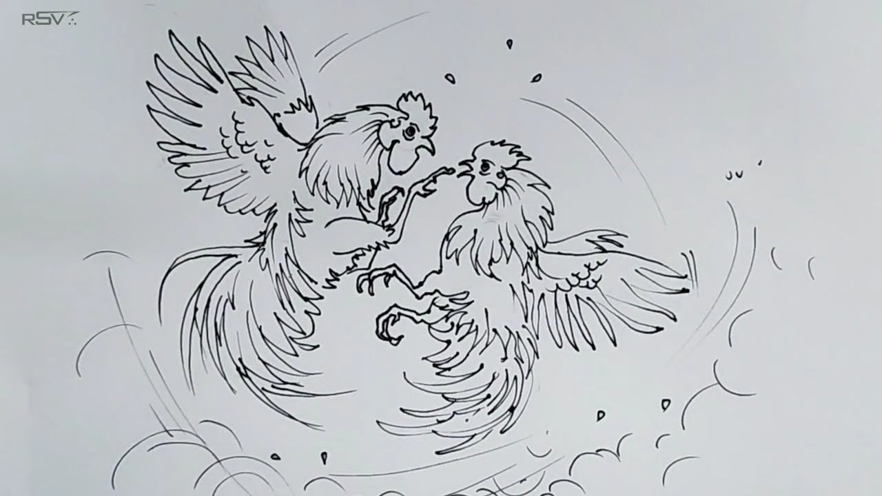 Roosters fight scene drawing | how to draw a roosters fight scene