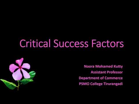 Critical Success factors (CSF/KSF)