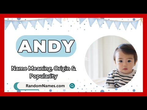 Andy - Baby Boy Name Meaning, Origin & Popularity - RandomNames.com