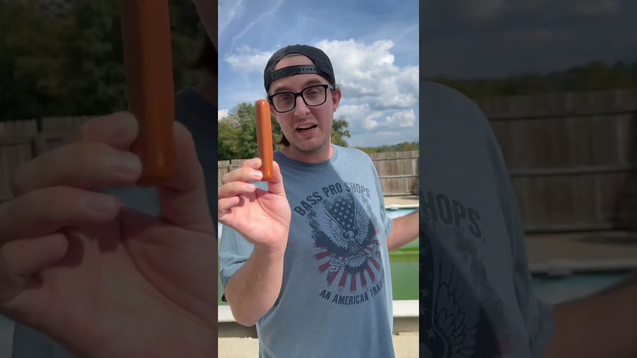 I Bought Flesh Eating Beetles From Amazon! #dermestidbeetle #beetles #flesheatingbeetles #insects