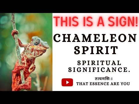 SIGNIFICANCE OF CHAMELEON IN SPIRITUALITY| तत्वमसिः।THAT ESSENCE ARE YOU.