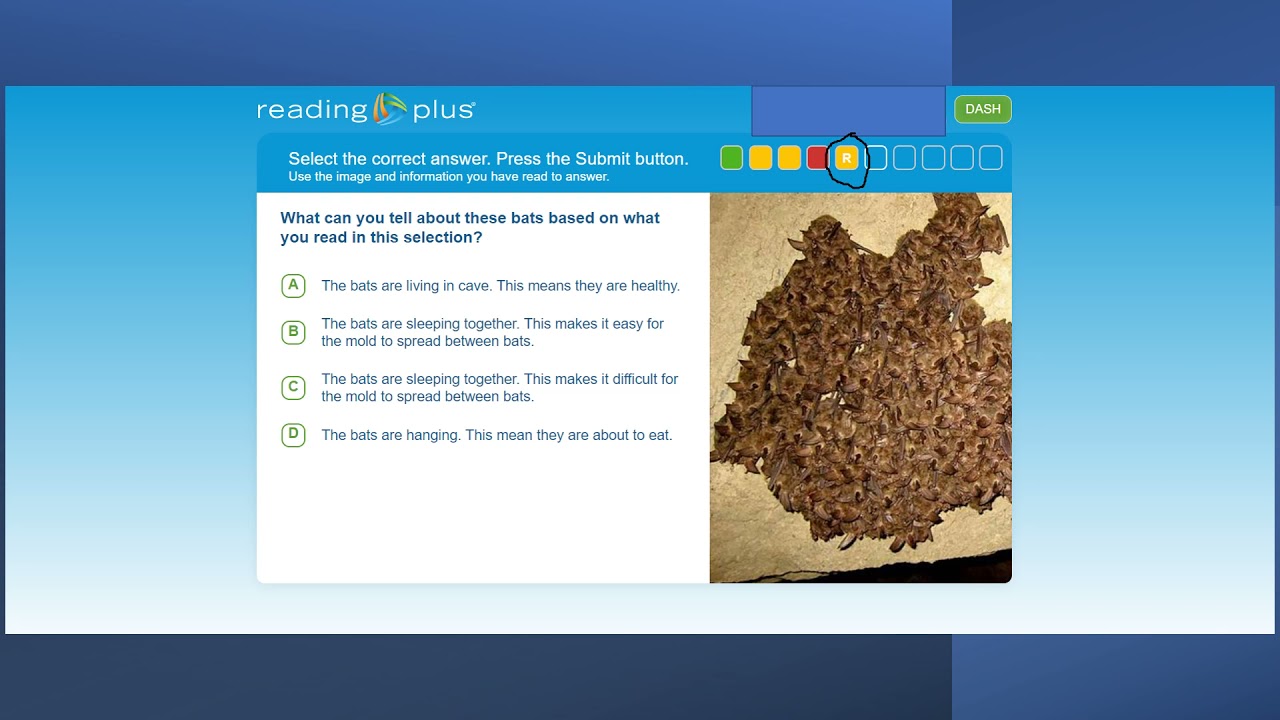Reading Plus Video