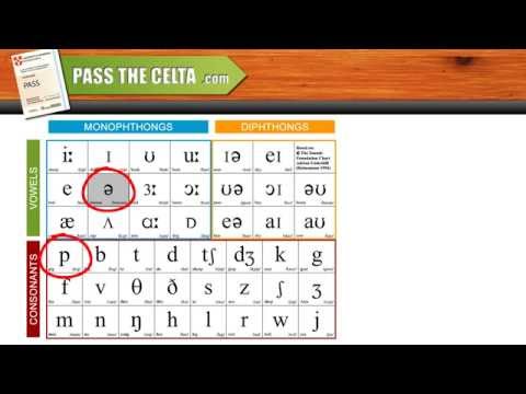 Help with Phonemic Chart Consonants | The Multicultural Chameleon