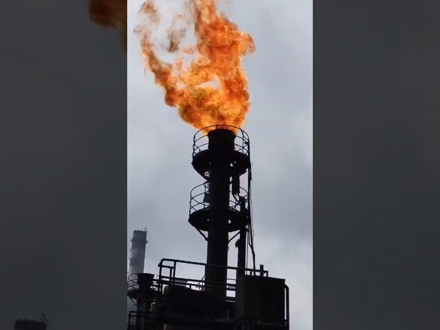 Gas Flare System - Automatic Open Bio Gas Flare System Manufacturer ...