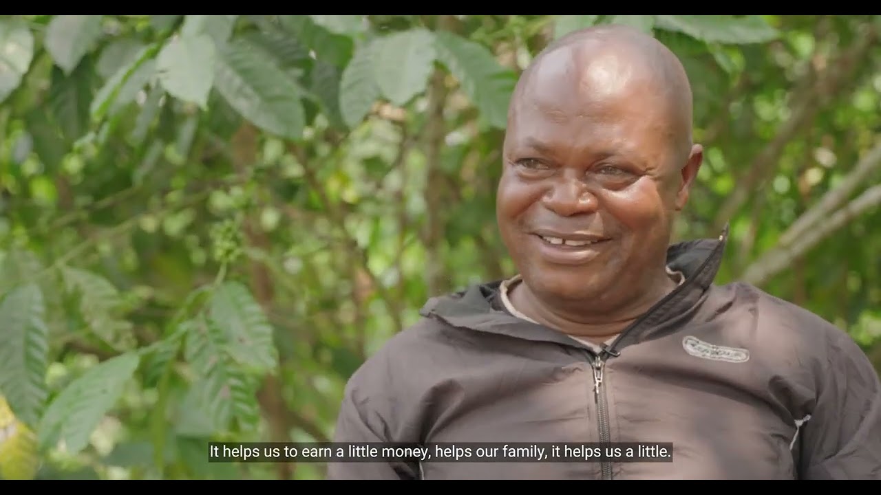 How the DRC is protecting forests and maintaining livelihoods #climateaction