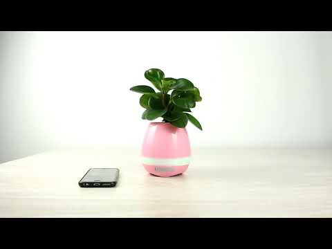 Music Flower Pot - Smart Music Flower Pot Latest Price, Manufacturers ...