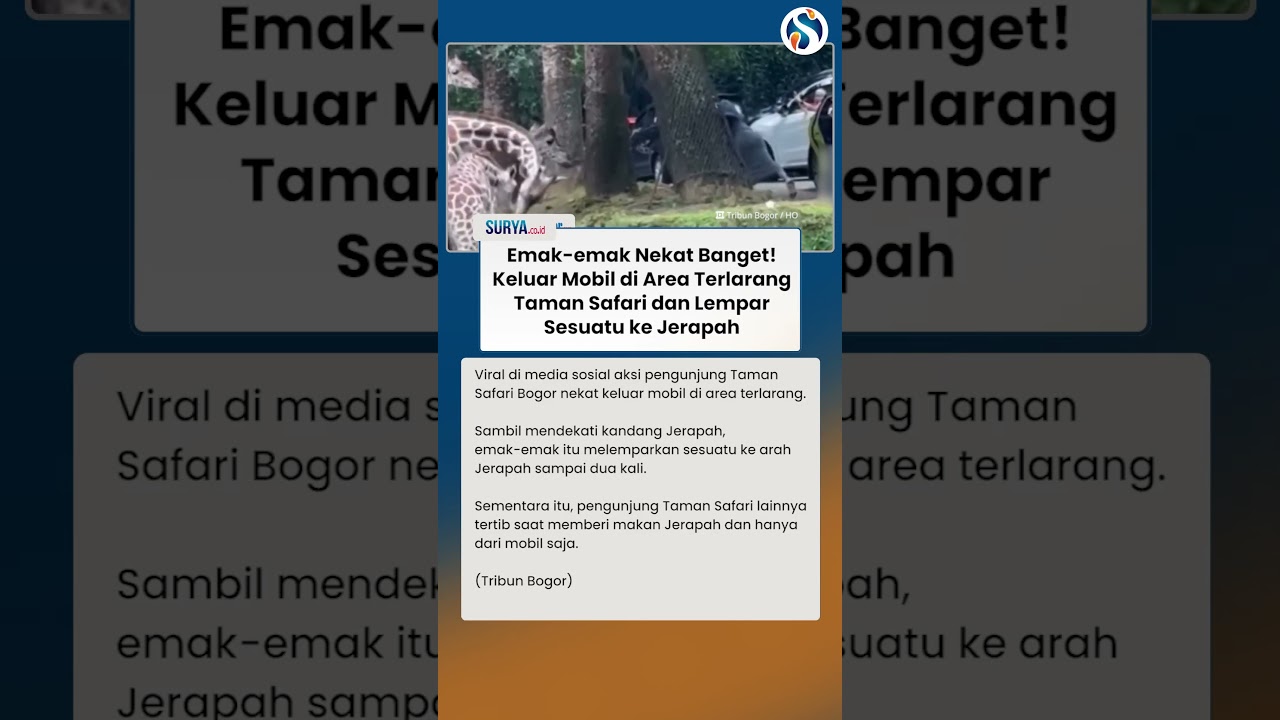 NEKAT BANGET! Emak-emak Keluar Mobil di Area Terlarang Taman Safari dan ...