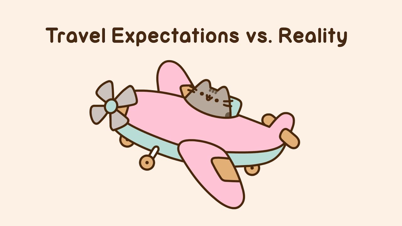 Pusheen: Travel Expectations vs. Reality