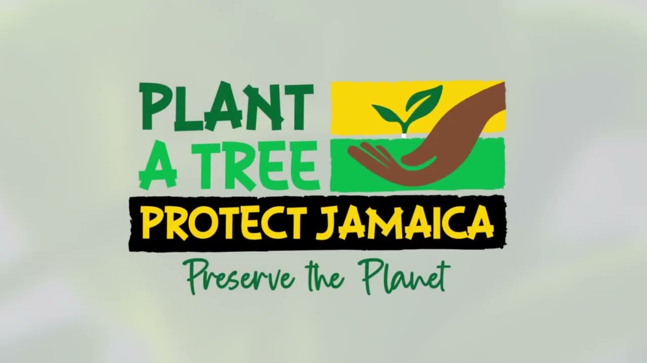 Introduction to the National Tree Planting Initiative