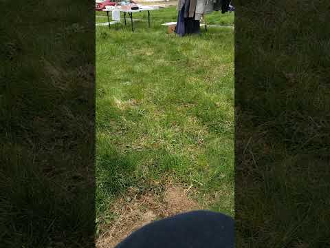 Yard Sale Ambience
