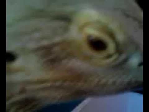 Steam Community :: Video :: DA SPOOK