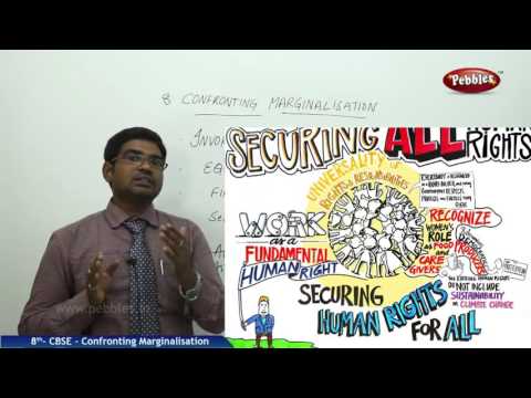 Invoking Fundamental Rights Video Lecture - Civics for Class 8