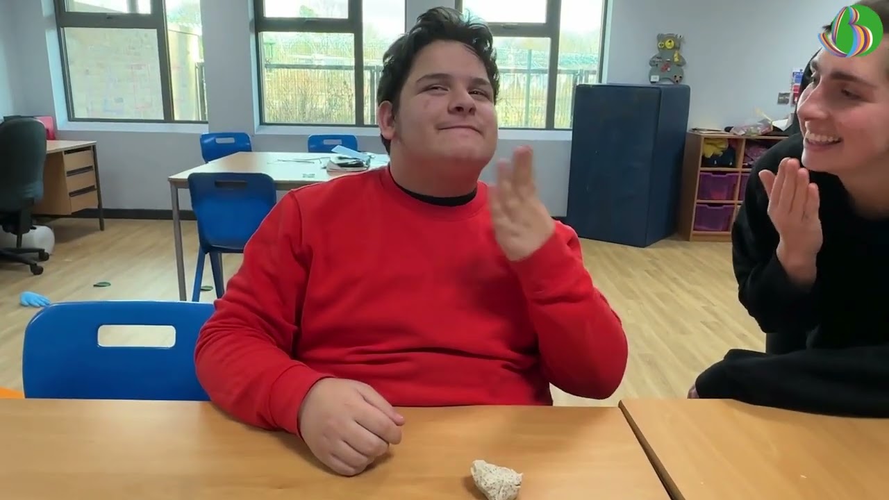 A Day in the Life of a Learning Support Assistant (LSA)