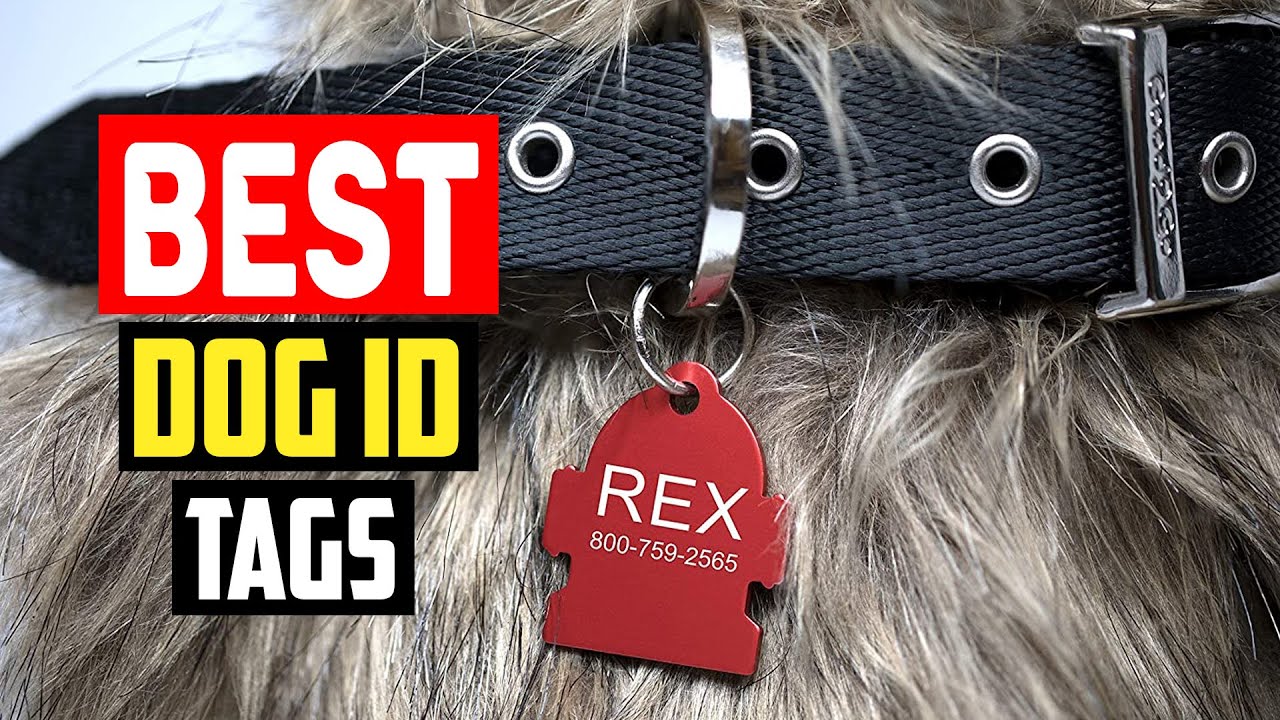 ✅ Top 5 Best Dog ID Tags in 2025
