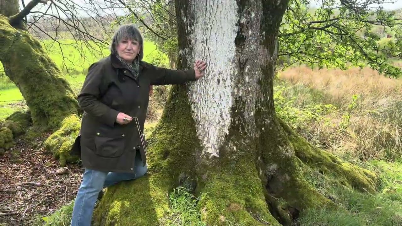 It's not about endings, but beginnings, so now is a good time to start! Nature will endure!