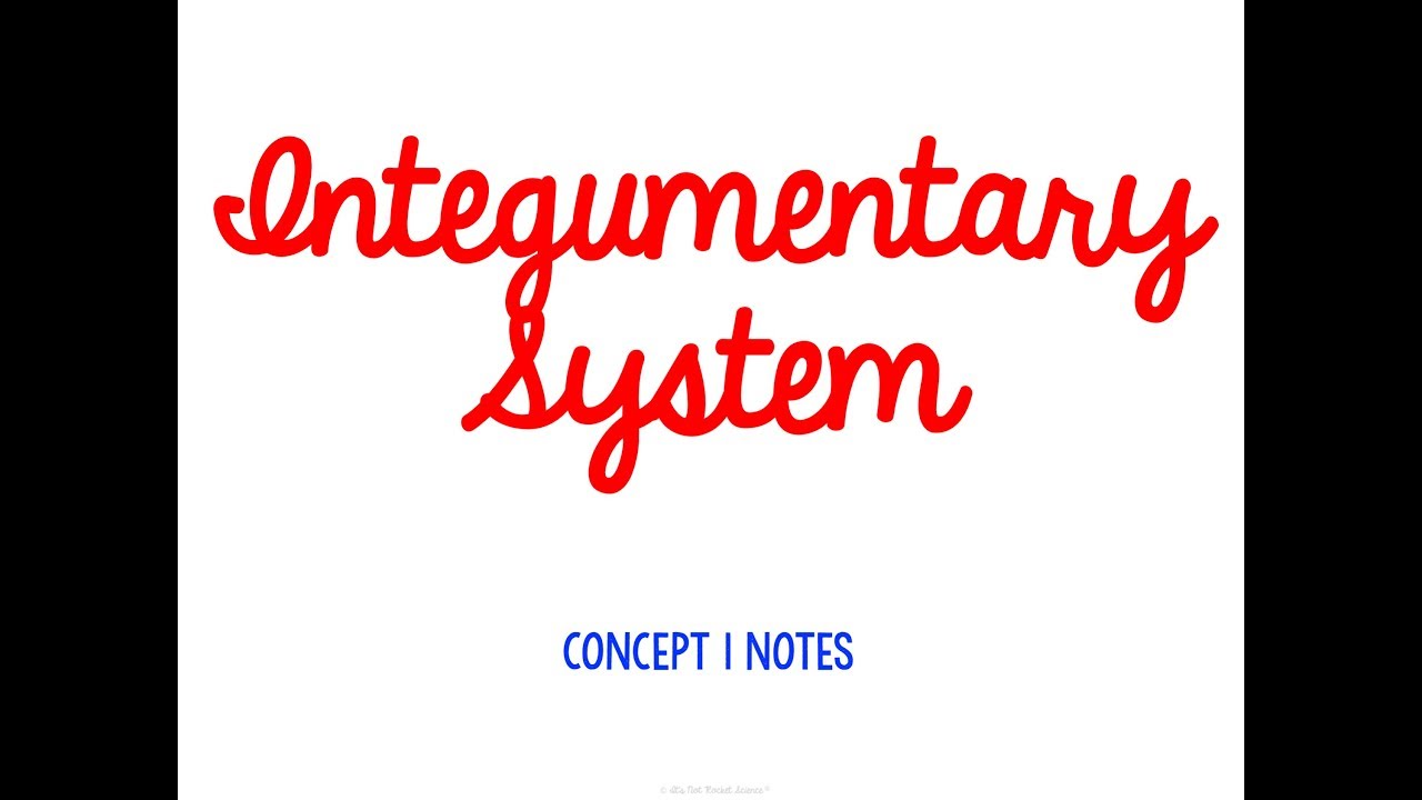 Unit 6 Protection Concept 1 Notes