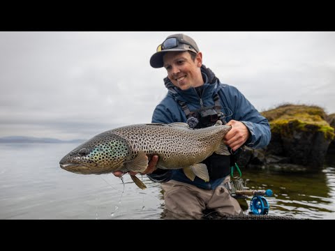 My Best Iceland Streamer - Catch & Tie