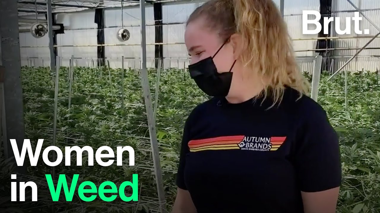 Women in Weed: Meet One of the First Women Cannabis Leaders in California