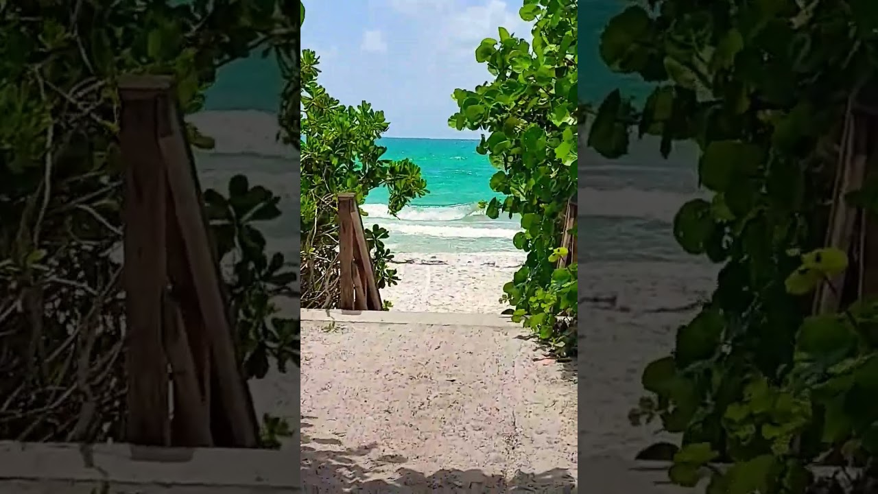 Gasparilla Island, Florida.  7/23/2023 #Florida #Beach #waves #swfl #sun #sand #ocean #weekend #palm