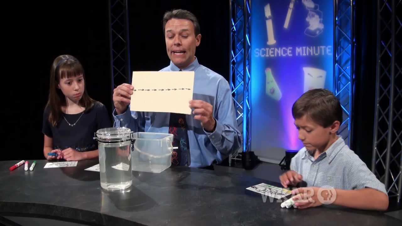 Reversing Arrows | Science Minute | WKAR PBS