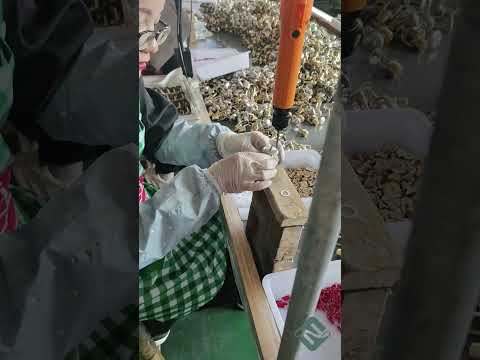 How The I-FLOW Fire Sprinkler Head Is Assembled