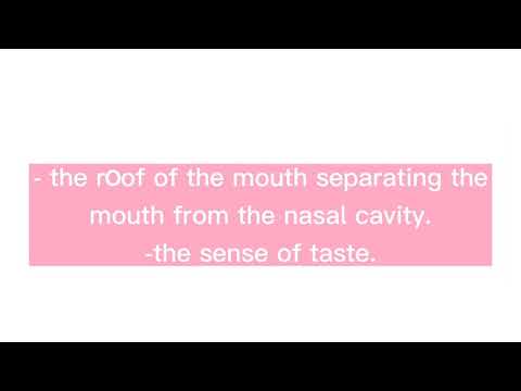How to pronounce palate