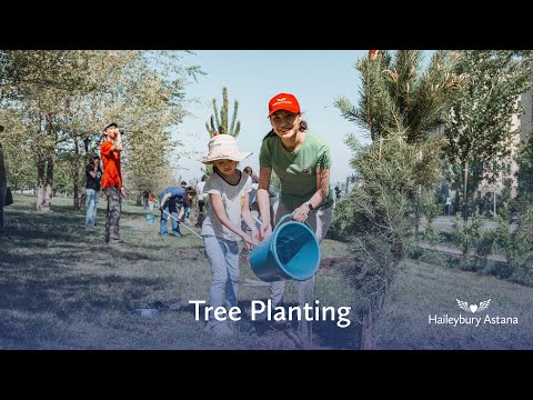 Tree Planting campaign