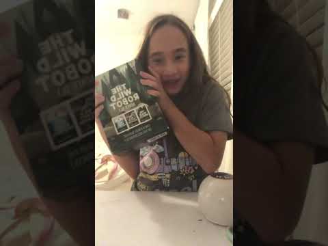 The wild robot box book set
