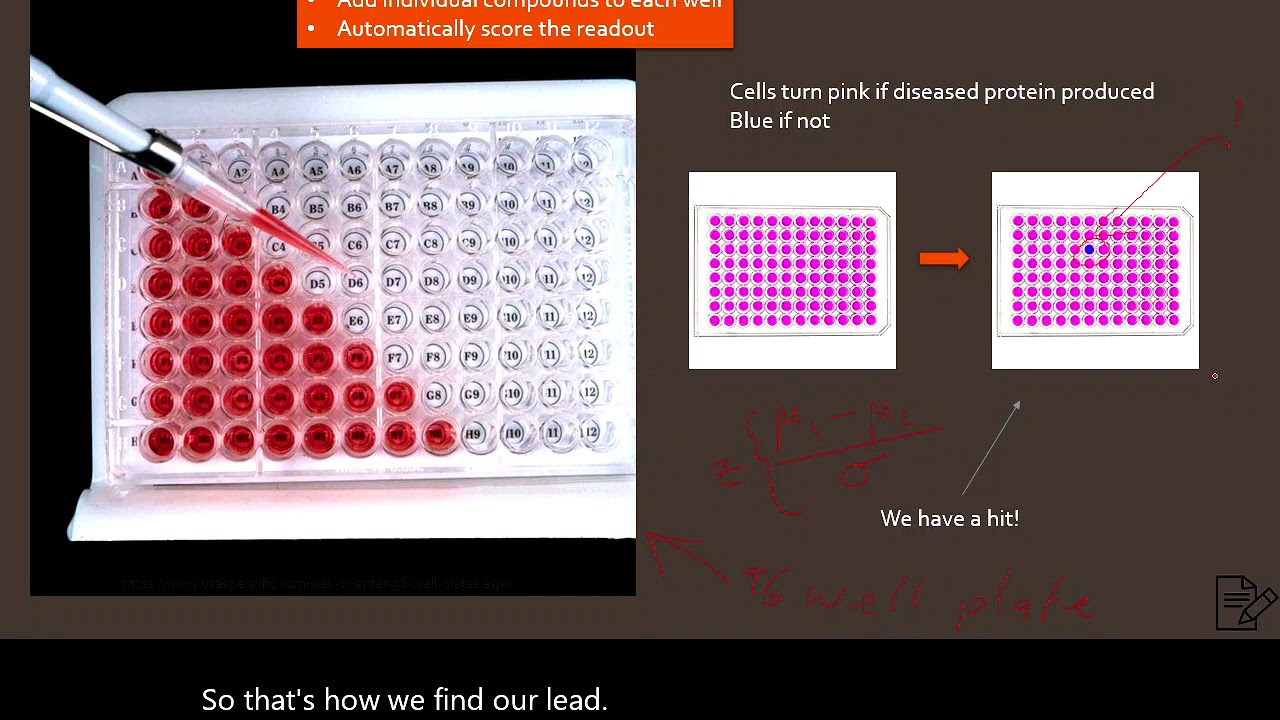 finding lead optimization