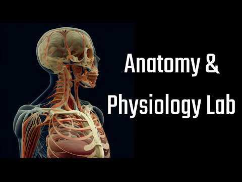 Anatomy Physiology app