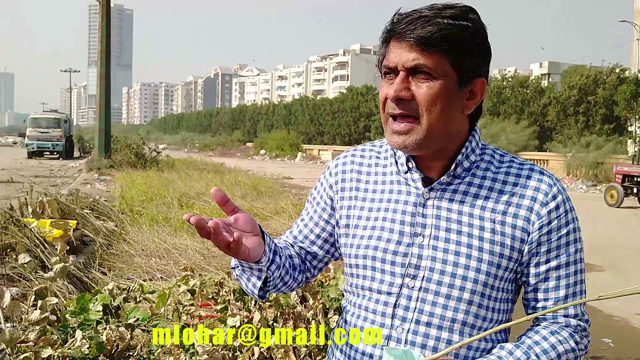 Introduction to Clifton Urban Forest