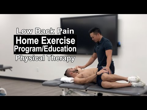 Physical Therapy Education for Low Back Pain | Part 4