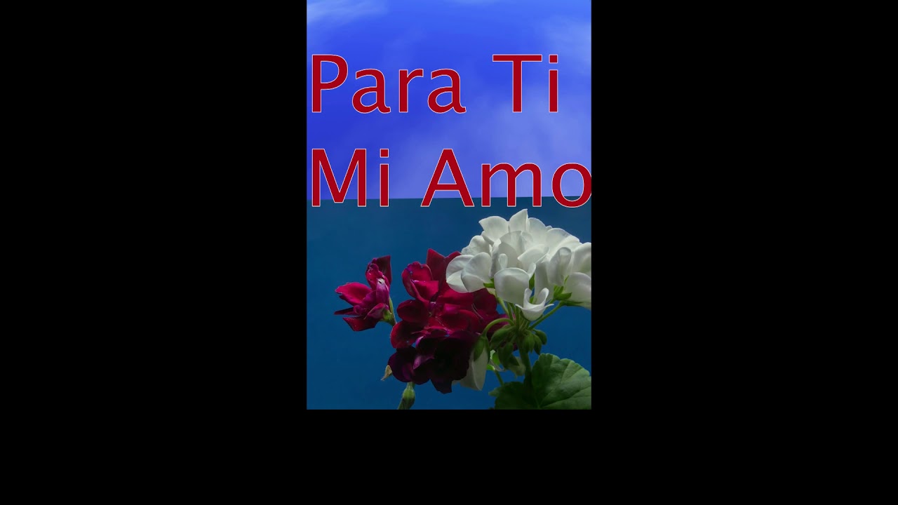 Para Ti Mi Amor | con Todo Mi Corazon | Recive estas Flores