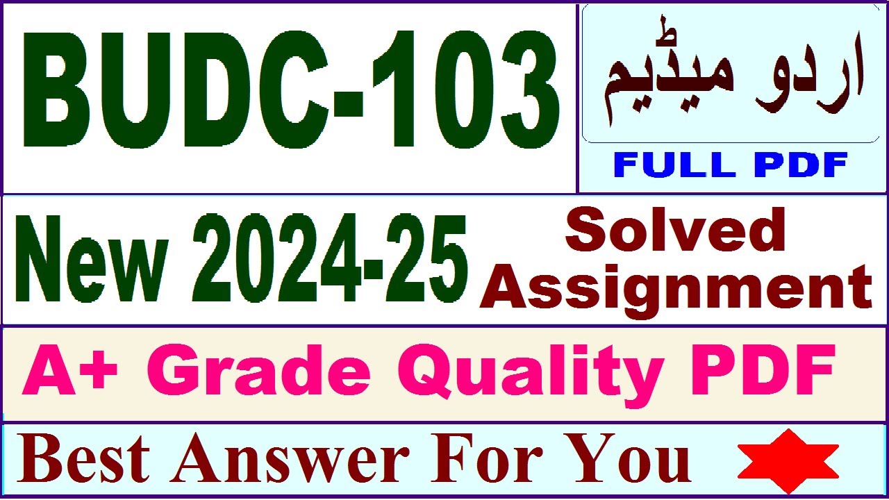 BUDC 103 solved assignment 2024-25 in Urdu || budc 103 solved assignment 2025 || budc103 2024-25