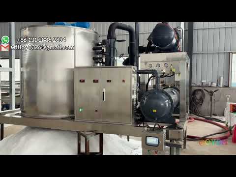 Customized 20T Stainless steel 304 Flake Ice machine for seafood company